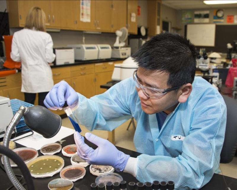 Medical Laboratory Technician Online Information Session | Community ...